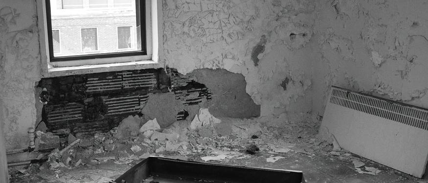 Mold Legal Responsibilities: Landlord, Tenant, and Homeowner Guide ...