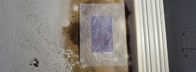 Home Mold Remediation: Step-by-Step Guide | Mold Guides