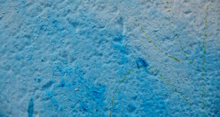 Types of Mold: Guide to Common Indoor Species | Mold Guides