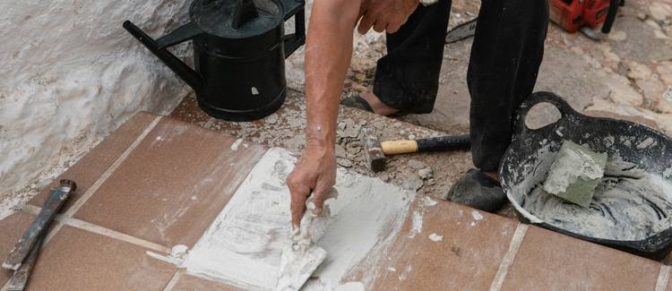 Home Mold Remediation: Step-by-Step Guide | Mold Guides
